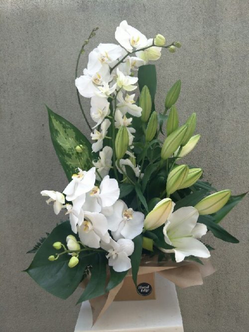 Flowers Archives | Floral Edge